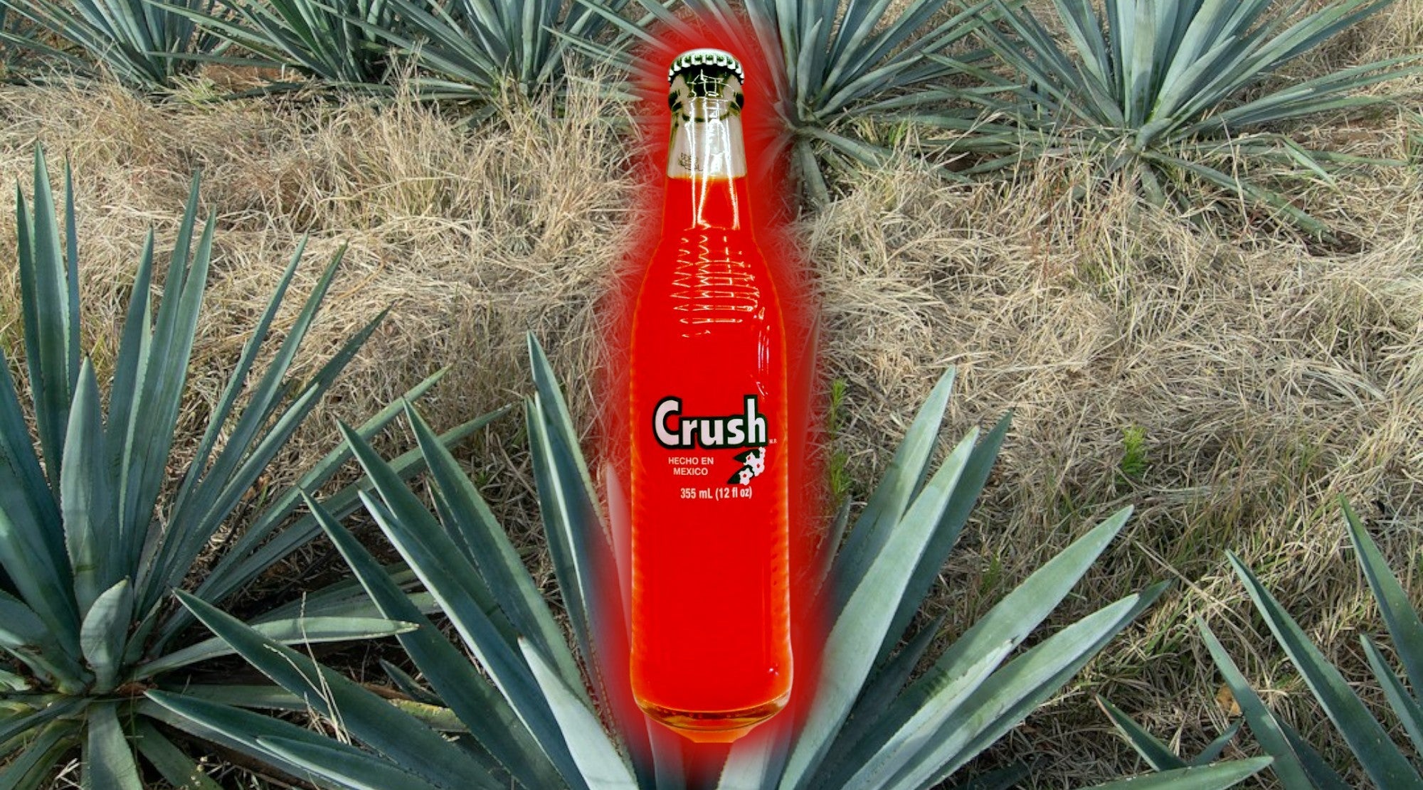 Crush Orange Mexico 355ml – Authentic Mexican Soda at YEG Exotic ...